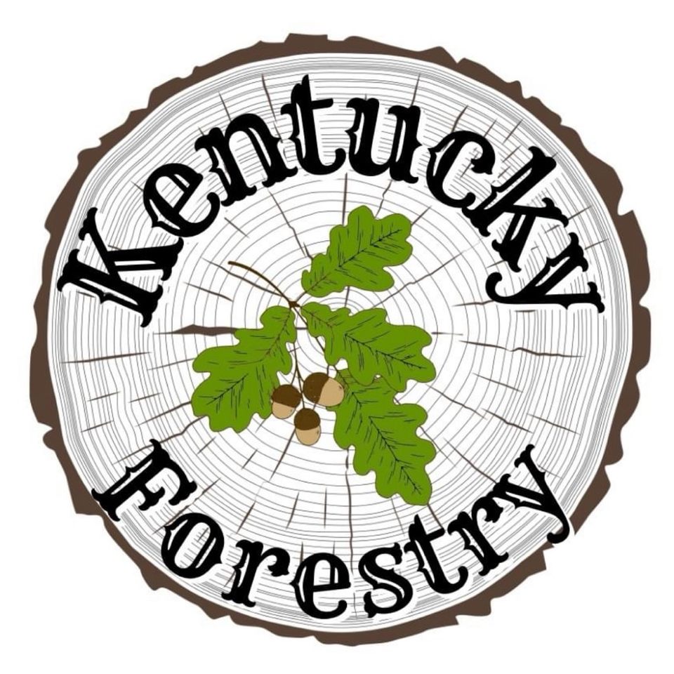 GroupMe - Join the group for Forestry Club 2025-26