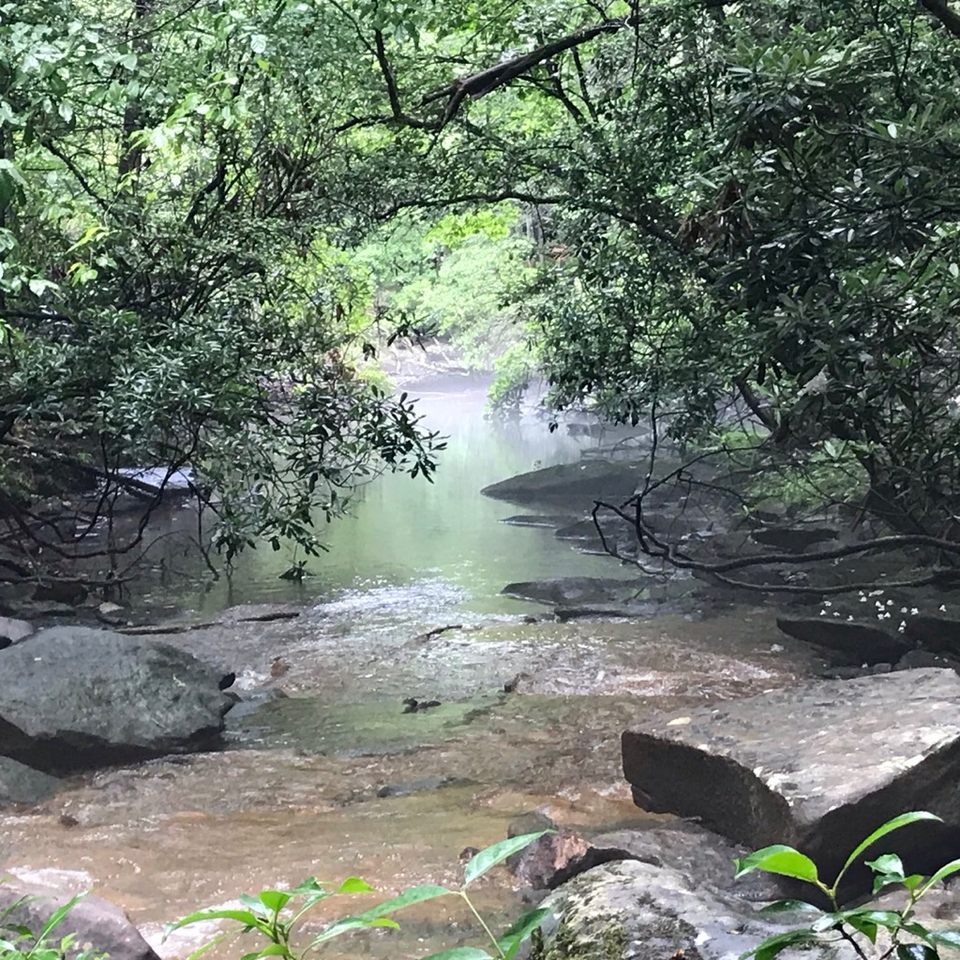 GroupMe - Join the group for Water Club (SCAWWA/WEASC Carolina Student ...