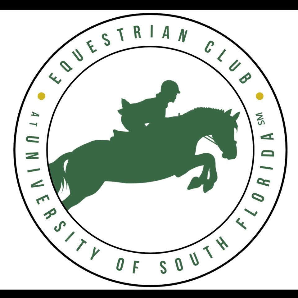 GroupMe - Join the group for Equestrian Club at USF