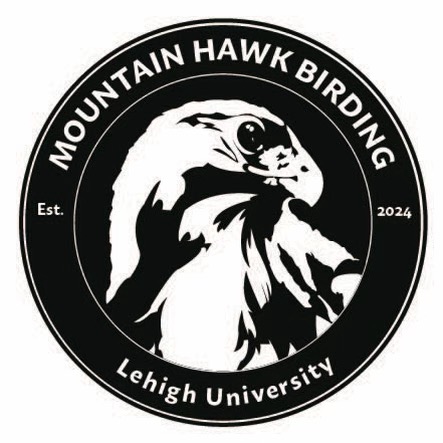 GroupMe - Join the group for Mountain Hawk Birding