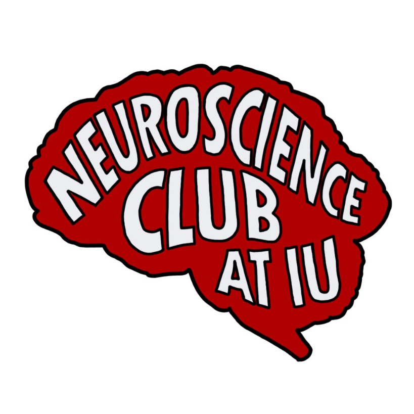 GroupMe - Join the group for Neuro Club Announcements in Bloomington ...